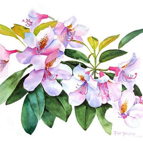 Российский Сервис Онлайн Дневников Цветы акварелью Иллюстрации цветок Цветочные картины