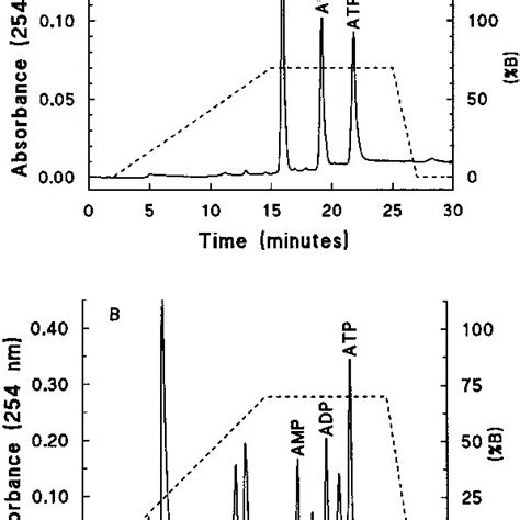 Uv Absorption Spectra As Recorded With The Diode Array Detector Of Download Scientific