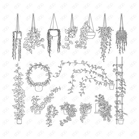 Free Hanging Plants Cad Block At Thomas Shea Blog