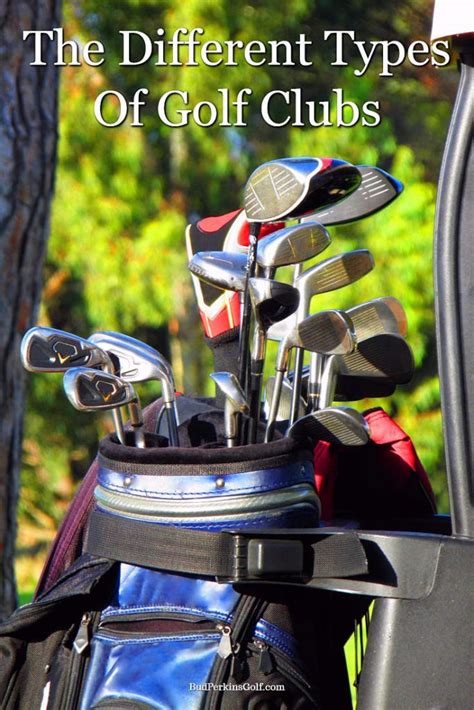 Types Of Golf Club Infographic At Jacob Honda Blog