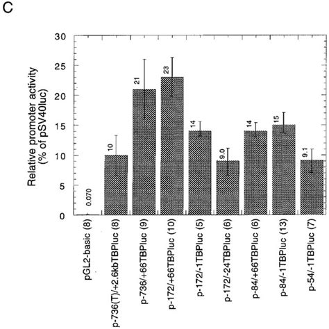 Transient Transfection Assays Of Htbp Promoter Constructs In Nam Cells