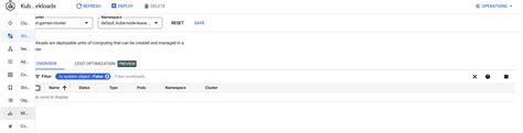 Kubernetes Gke Autopilot Cluster Not Displaying Anything In Ui