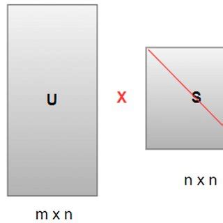 Schematic Demonstration Of SVD Download Scientific Diagram