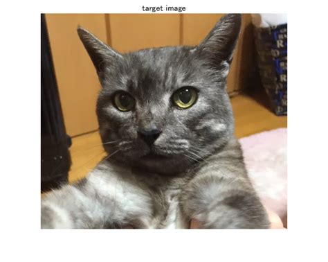 Explainable Ai Interpreting The Classification Using Lime File