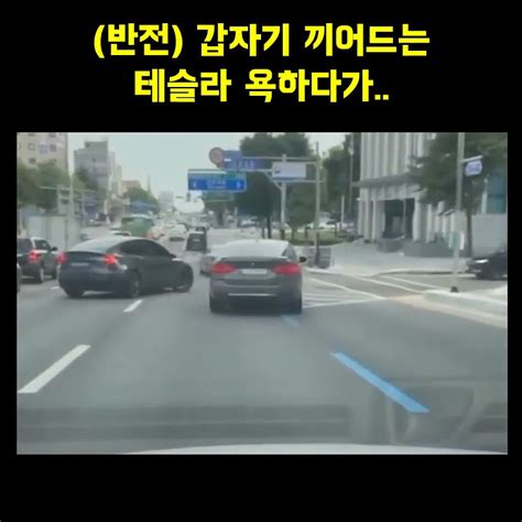 반전주의 갑자기 끼어드는 테슬라 욕하다가 Youtube