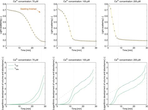Swelling Curves And The Development Of The Logarithmic Volume And