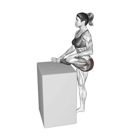 Seated Piriformis Stretch Benefits Muscles Worked And More Inspire Us