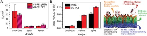 A Comparison Of Obtained Kd Values From Fittings Of The Spr Data And