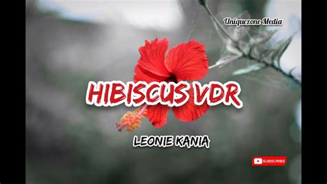 Leonie Kania Hibiscus Vdr Youtube