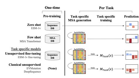 How To Perform Variant Prediction In A Zero Shot Manner Ie Without