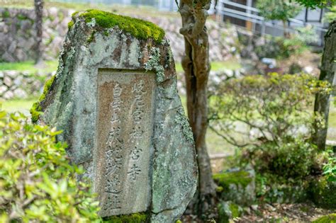 岐尼 きね 神社格式が高く数々の歴史の舞台にもなった能勢を代表する神社 のせむすび