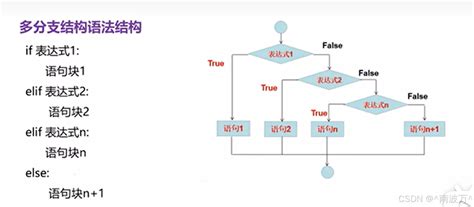 Python中的分支语句 Csdn博客