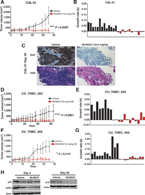 Ef Fi Cacy Of Mln8237 Against Tnbc Xenografts In Vivo Tumor Growth