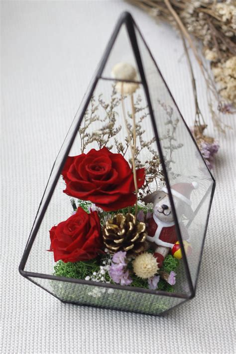 Yuletide Cheer Wildfleur