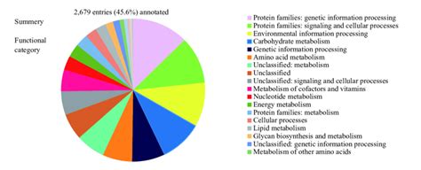 Gene Function Annotation Of Bacillus Anthracis Isolated From Patient A