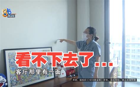 1818黄金眼翡翠城修裂纹 业主看不下去 1818黄金眼 1818黄金眼 哔哩哔哩视频