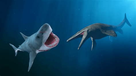 Megalodon Vs Mosasaurus Who Would Win In A Fight Iflscience