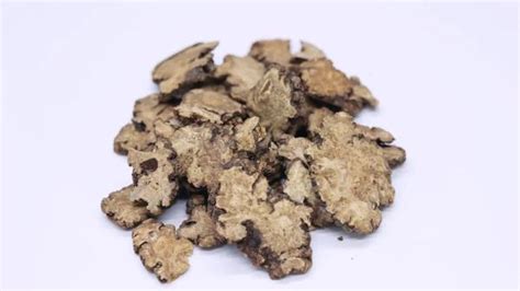 一味奇妙的中药打通全身梗阻止疼痛抗肿瘤调免疫消瘀血 知乎