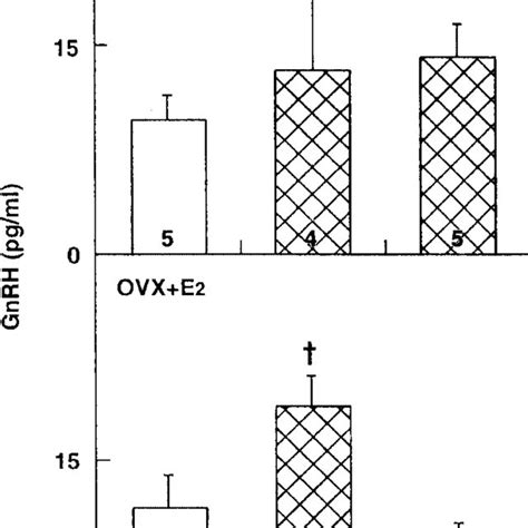 Effects Of Sodium Nitroprusside Snp Or Both Snp And Hb Snphb On In