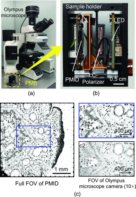 Chip Scale Metalens Microscope For Wide Field And Depth Of Field Imaging