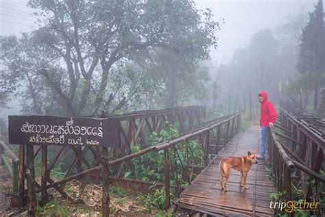 7 จุดเช็คอินบ้านอีต่อง ทองผาภูมิ ลิสต์ที่เที่ยวห้ามพลาดเมื่อมาหมู่บ้านแห่งสายหมอก