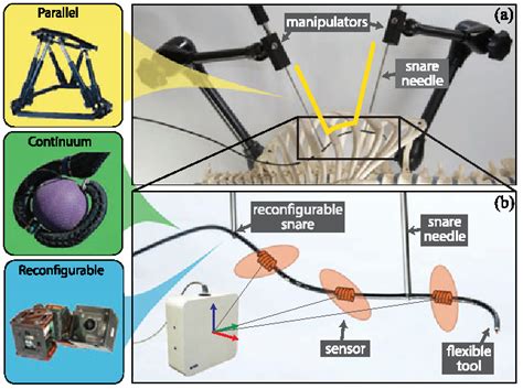 figure 3 from continuum reconfigurable parallel robots for surgery