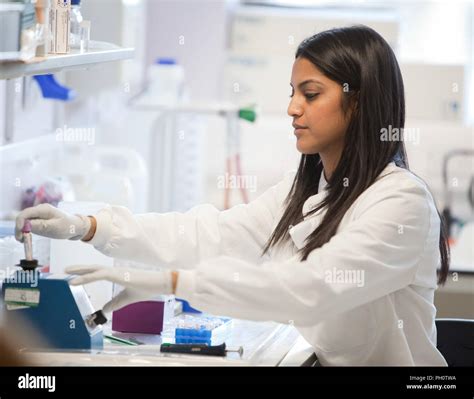 Female Laboratory Technician Working In Laboratory Stock Photo Alamy