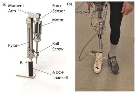Toward Design Of An Environment Aware Adaptive Locomotion Mode Recognition System Abstract