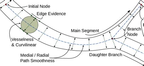 Graphical Representation Of The Individual Cost Terms Employed In Download Scientific Diagram