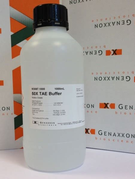 TAE Puffer 50 fach gebrauchsfertige Lösung