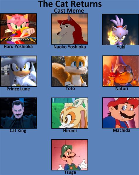 The Hedgehog Returns The Cat Returns Cast Meme By Mtvfanatic2005 On