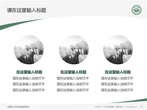 中山大学ppt模板下载ppt设计教程网