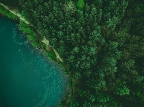 Indonesias Carbon Pricing Understanding The Basic Regulatory Framework