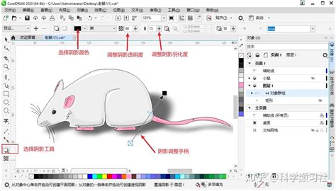 【教程】coreldraw如何绘制sci常用科研实验小鼠图像 知乎