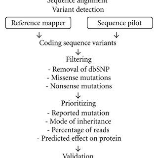 Workflow Of Data Analysis And Filtering The Sff Sequence File Format Download Scientific