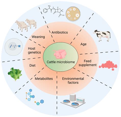 Integrating Omics Technologies For A Comprehensive Understanding Of The Microbiome And Its
