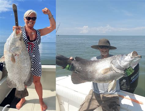 Tripletail