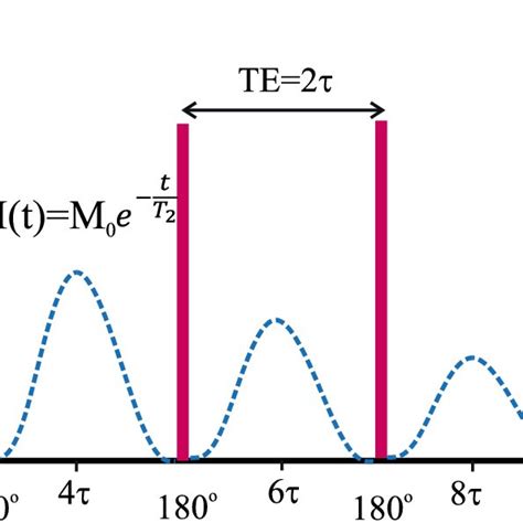 Basic Cpmg Sequence Used To Measure The Amplitude Of The Spin Echoes Download Scientific