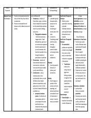 Matrix Week Freudadlerjung Pdf Theory Proponent Main Tenet S