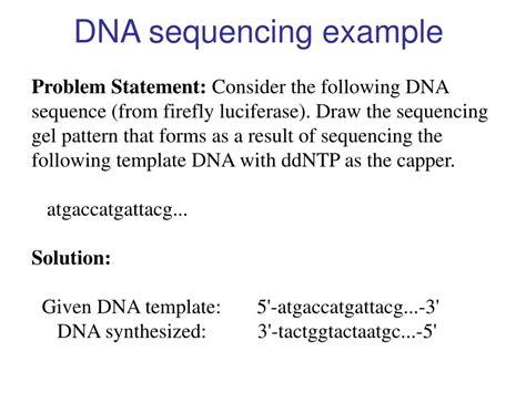 Ppt Dna Sequencing By The Sanger Method Powerpoint Presentation Free