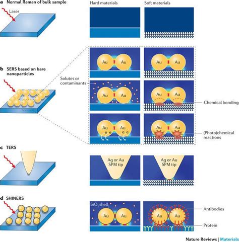 Surface Enhanced Raman Spectroscopy Alchetron The Free Social Encyclopedia