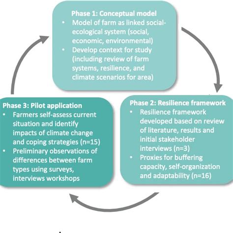 Developing And Applying The Resilience Framework Download Scientific Diagram