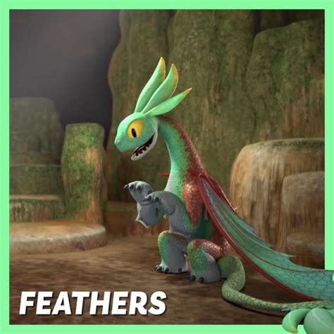 A Green And Red Dragon With The Words Feathers On Its Chest Standing In Front Of Rocks
