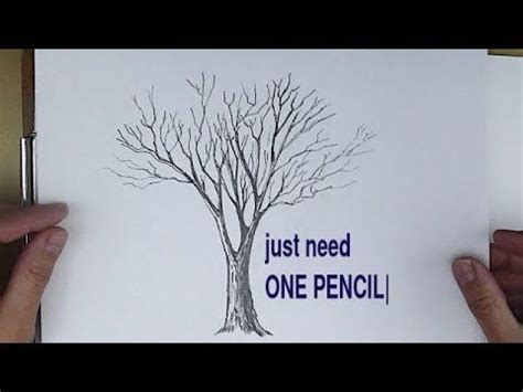 Drawing Course How To Draw A Tree With Just ONE Pencil Drawing Course Tree Drawing Trees