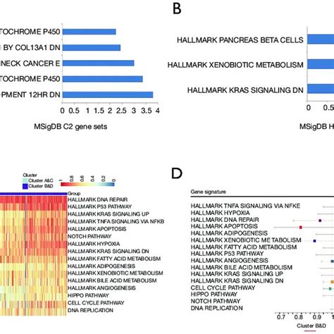 Enrichment Analysis Of Clusters Enriched Function Of Up Regulated Download Scientific Diagram