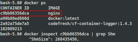 How To Set Shm Size For Container · Codefresh Docs