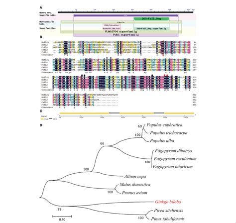 Protein Domain Multiple Alignment Structural Features And
