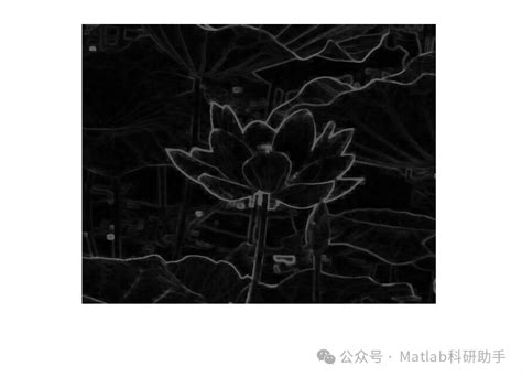 【图像处理】图像的边缘检测附matlab代码图像处理中边缘有几种类型 Csdn博客