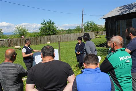 ფოტო გალერეა მონიტორინგის საიტი