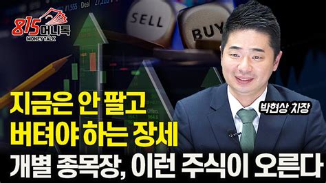 지금은 하락해도 버텨야 하는 장 다음에 오를 반도체 소부장 주는 안 오른 내 주식 오를 순서 기다리세요 에코프로머티